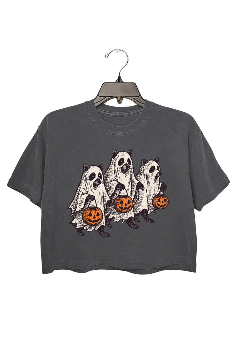 Trick Or Treat Halloween Raccoon Crop Top For Women – Fancyytee.com